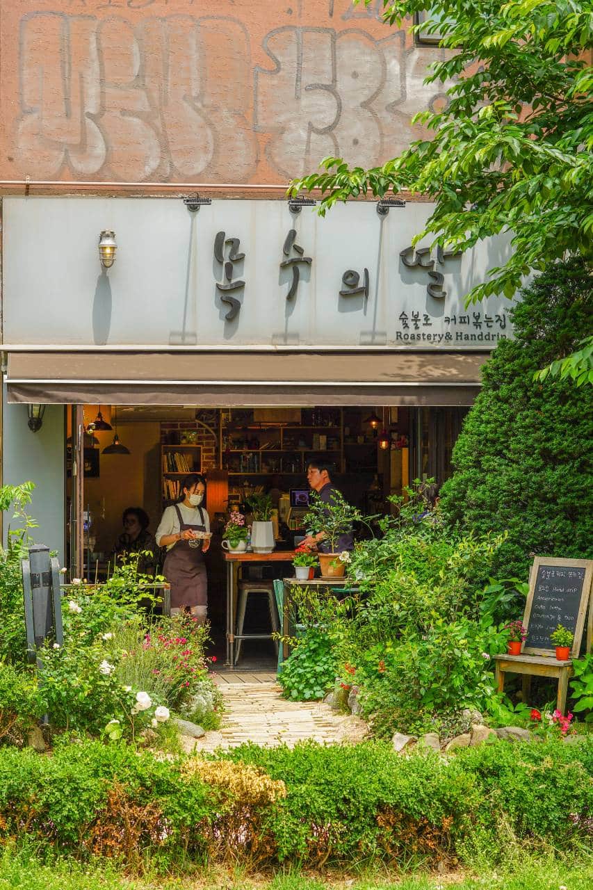 Things to do in Hongdae - Zen Moments in Korea