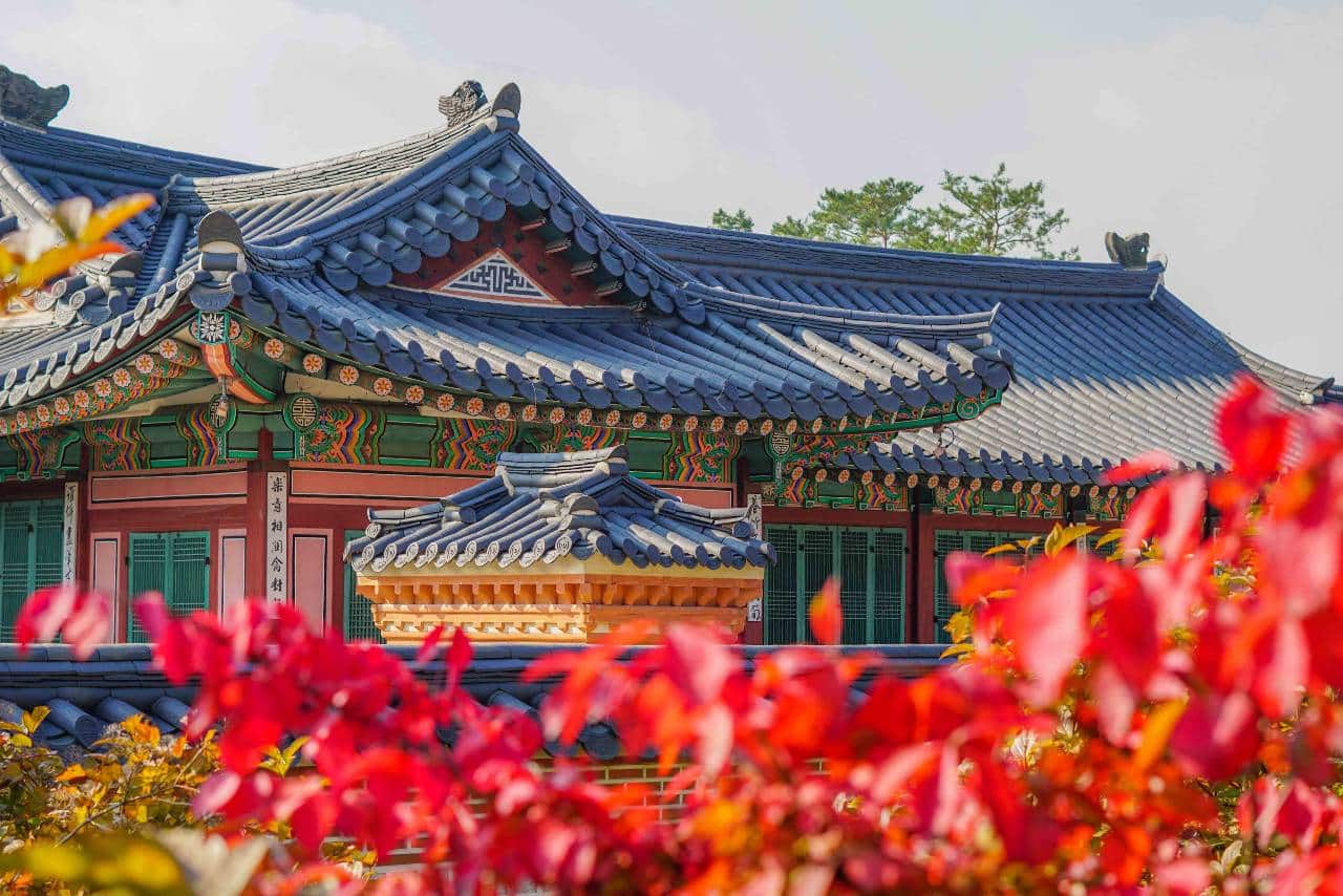 Autumn in Seoul and 22 EPIC Fall Foliage Destinations in Seoul