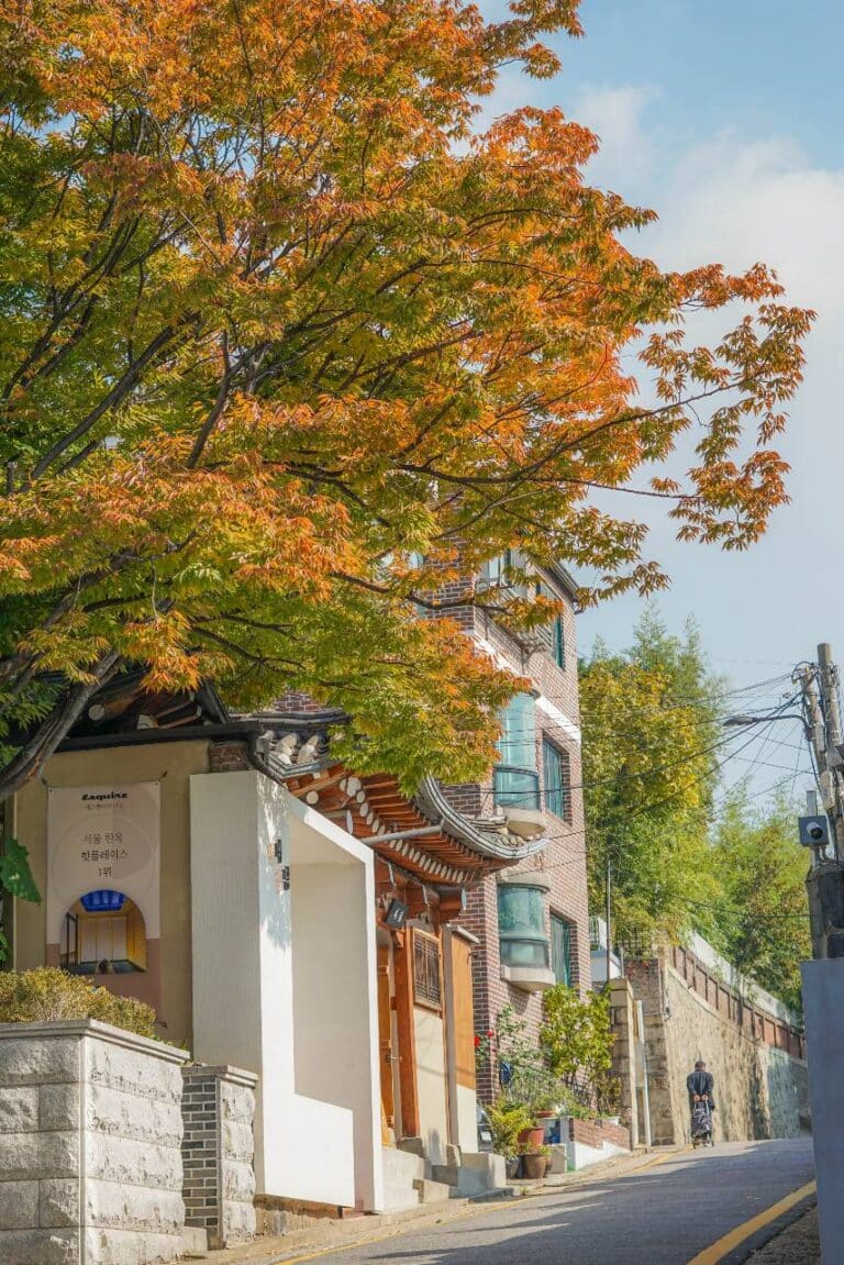 Autumn in Seoul and 22 EPIC Fall Foliage Destinations in Seoul