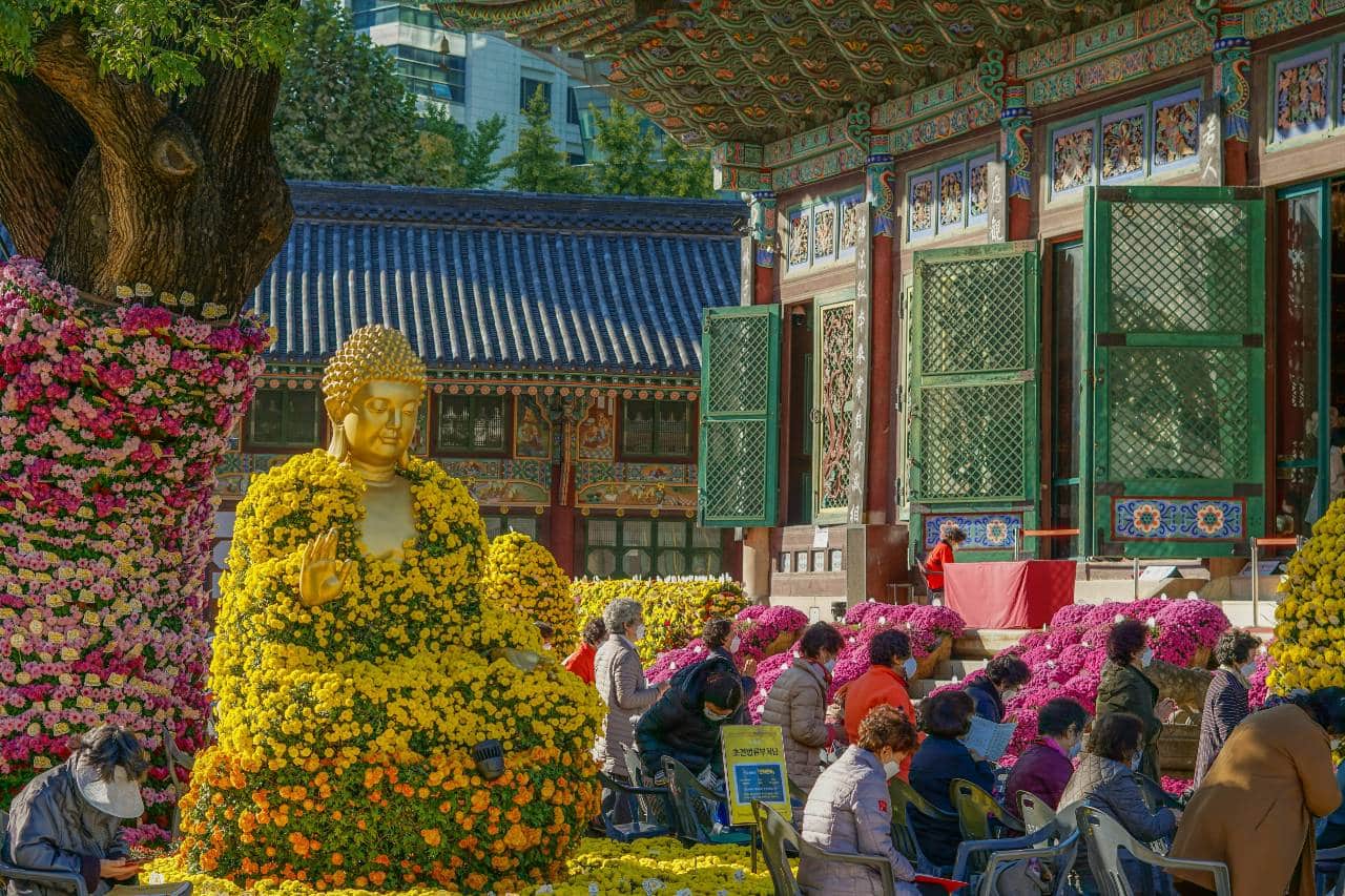 Autumn in Seoul and 22 EPIC Fall Foliage Destinations in Seoul
