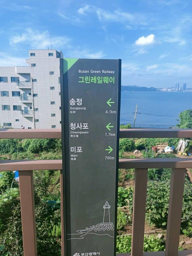 Busan Sky Capsule: Your Ultimate Guide