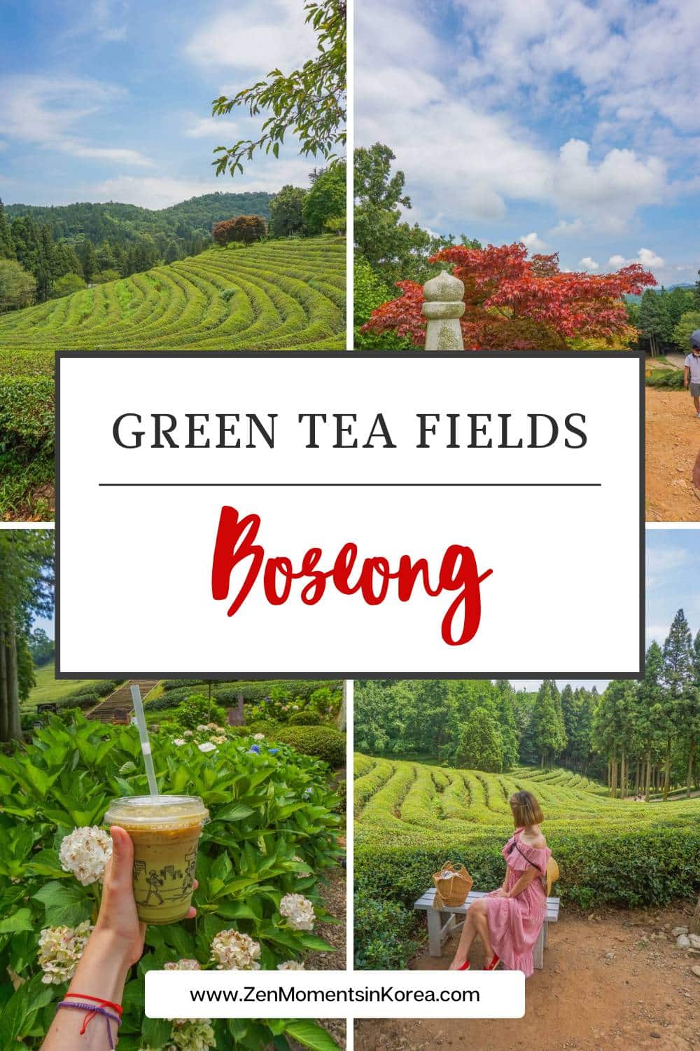 Boseong Green Tea Fields - a travel guide - Zen Moments in Korea