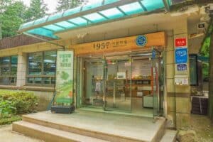 Boseong Green Tea Fields - a travel guide - Zen Moments in Korea